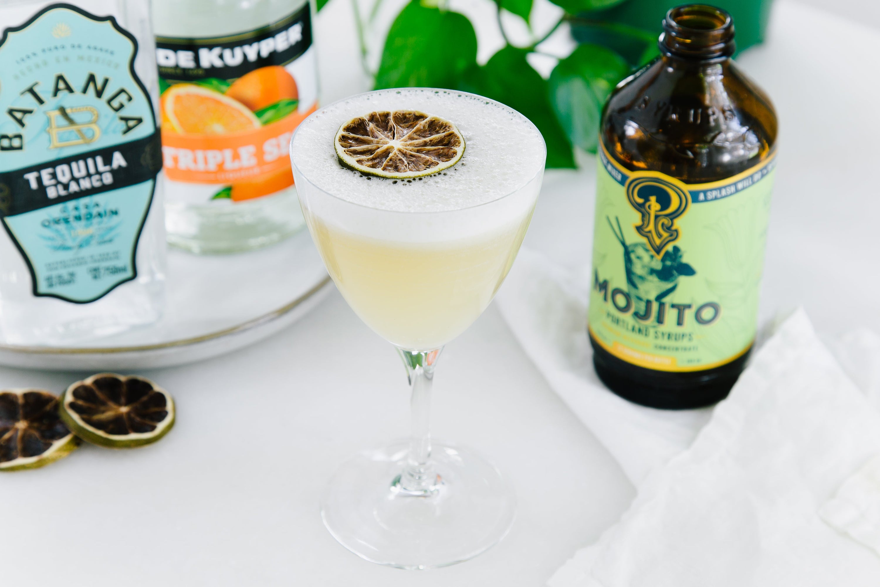 Aquafaba Tequila Sour Recipe | Portland Syrups